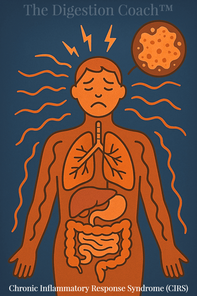 CIRS: Expert Insights on Understanding Chronic Inflammation - The ...